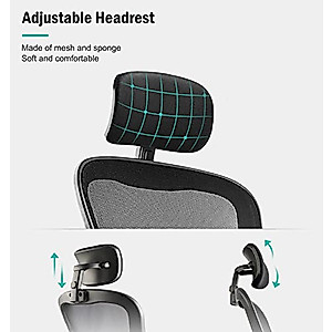 HARBLAND Ergonomic Office Chair, Home Office Desk Chair High Back Chair with Adjustable Headrest Backrest Armrest for Home Office Computer Desk (Black)