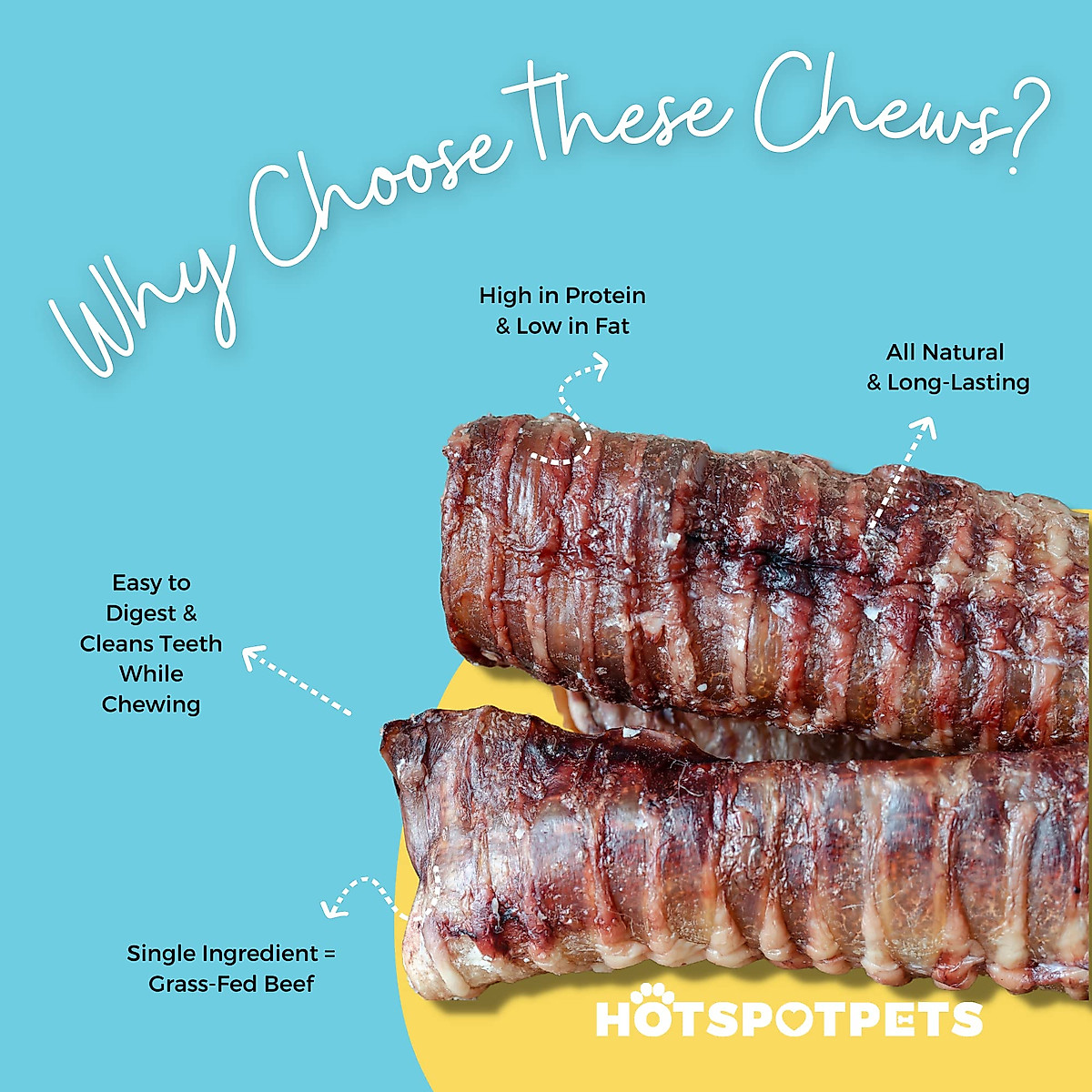 hotspot pets Premium 6'' Beef Trachea for Dogs Large - All Natural Long Lasting Dog Chews Rich in Glucosamine & Chondroitin 100% Beef Chews Single Ingredient Grass Fed Dog Treats - (8 Count)