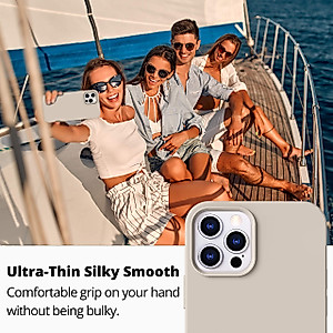 IceSword iPhone 12 Case and iPhone 12 Pro Case 6.1” (2020),Liquid Silicone Case Cover, Soft Microfiber Cloth,Matte Light Beige Tan Cream Warm Sand Pearl Cute,Gel Rubber Drop Protective 12/12P - Stone