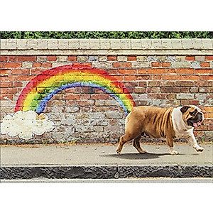 Avanti Dog Rainbow Funny Bulldog Birthday Card