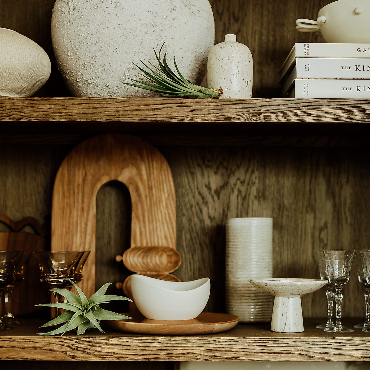 ragnaroc Live Air Plants - Tillandsia Gift Box TOR Variety Pack - 10 Count Large 3-5 inches – Live Indoor Plants & Live 15 inch Spanish Moss – Live Plants for Home décor, Live Arrival Guaranteed