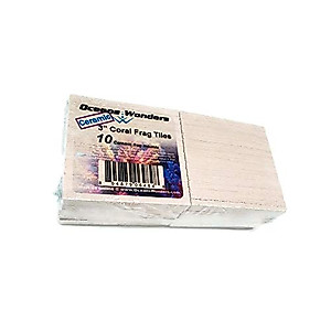 Oceans Wonders Ceramic XXL 3" Coral Frag Tiles 10pc