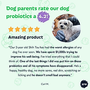 Minimal Ingredient Dog Probiotic to Alleviate Allergies, Infections, ‘n’ Digestive Issues
