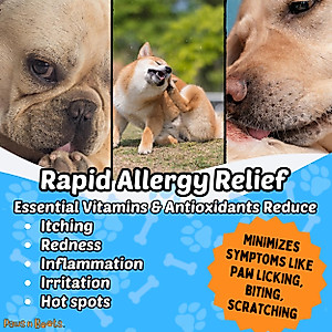 Protective Skin Barrier Cream for Pets Enriched with Vitamins & Nutrients, Moisturize & Soothe Skin, Effective Allergy Relief, Supports Tissue Growth & Wound Healing, Treats Hot Spots, Dober-Mint