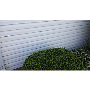 Iron OUT Powder Rust Stain Remover, Remove and Prevent Rust Stains in Bathrooms, Kitchens, Appliances, Laundry, and Outdoors, white, 4.75 lbs.