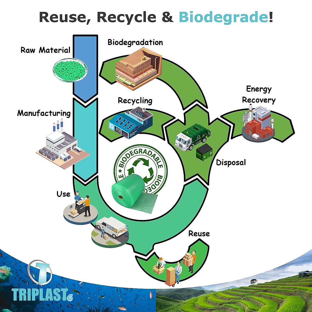 Triplast BIODEGRADABLE Green Bubble Wrap Roll (400mm x 50m) | Small Air Bubble Cushioning Bubble Wrap for Moving House, Fragile Item Packaging and Protective Wrapping for Shipping & Storage