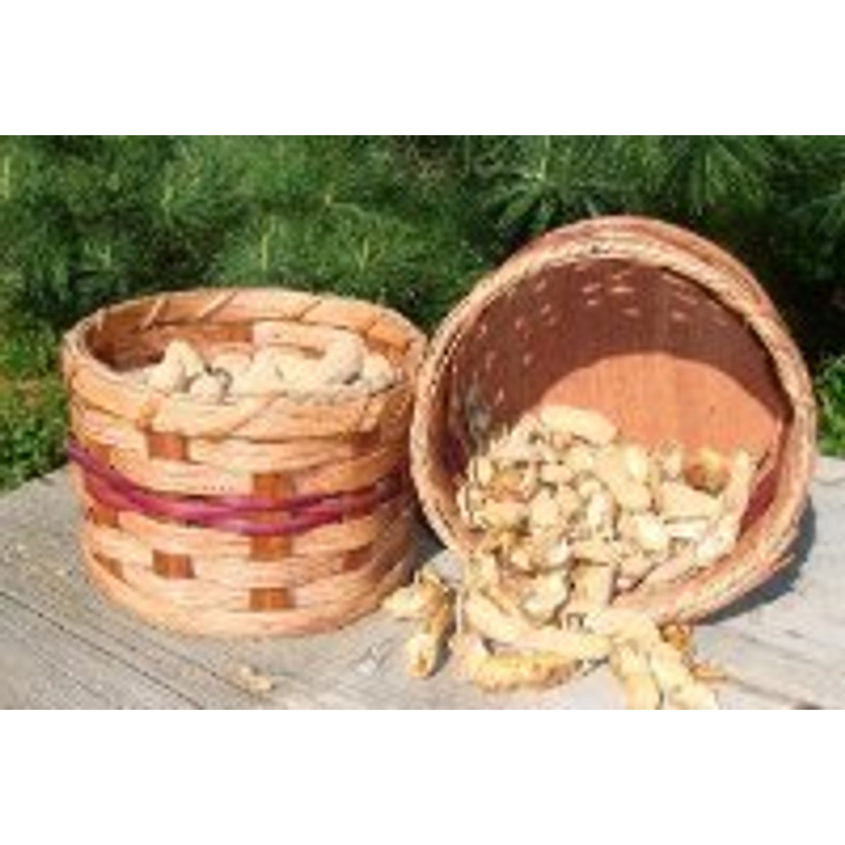 Double Peanut Amish Handmade Basket One Side Holds the Uncracked Peanuts Still in the Shell Other Side Holds Hulls Until Ready to Be Discarded in the Trash or Recycle Bin. Great Idea for Any Man Cave or Bar. Can Also Be Placed on the Coffee Table in Front