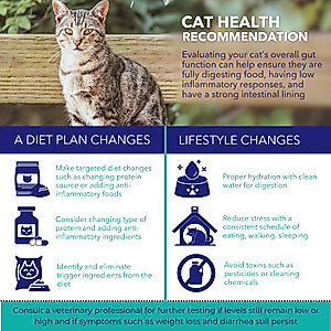 Innovative Pet Lab Comprehensive Gut Health Test Kit for Cats - at-Home Cat Stool Test for Immune & Gluten Sensitivity Symptoms Like Diarrhea, Vomiting, Itchy Skin - Easy Non-Invasive Testing Kit