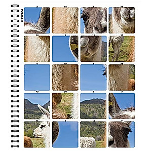 Brain Games - Sticker by Number: Farm Animals (Easy - Square Stickers): Create Beautiful Art With Easy to Use Sticker Fun!