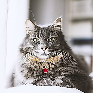 HonpraD Collar Gold Chain Dog Collar Dog Necklace Adjustable Summer Soft Comfortable Pet Collar Metal Cuban Link for Medium and Large Dogs