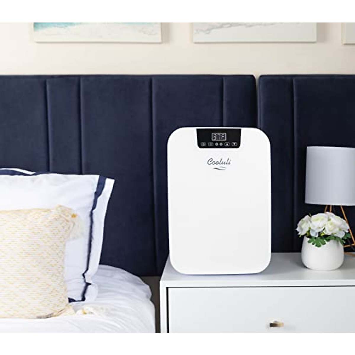 Cooluli 20L Mini Fridge For Bedroom - Car, Office Desk & College Dorm Room - Glass Front & Digital Temperature Control - 12v Small Refrigerator for Food, Drinks, Skincare, Beauty & Breast Milk (White)