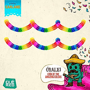 Rainbow Garland 5 Pack - Ideal for Rainbow Party Decorations, Fiesta Party Decorations, Mexican Party Decorations, Party Streamers Supply - 10 Feet Long Each | 9 Inch Diameter by OLÉ RICO