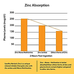 Zinc 50mg Supplement 120 Vegetarian Capsules, Zinc Highly Absorbable Supplements for Immune Support System, Gluten Free Zinc Supplement