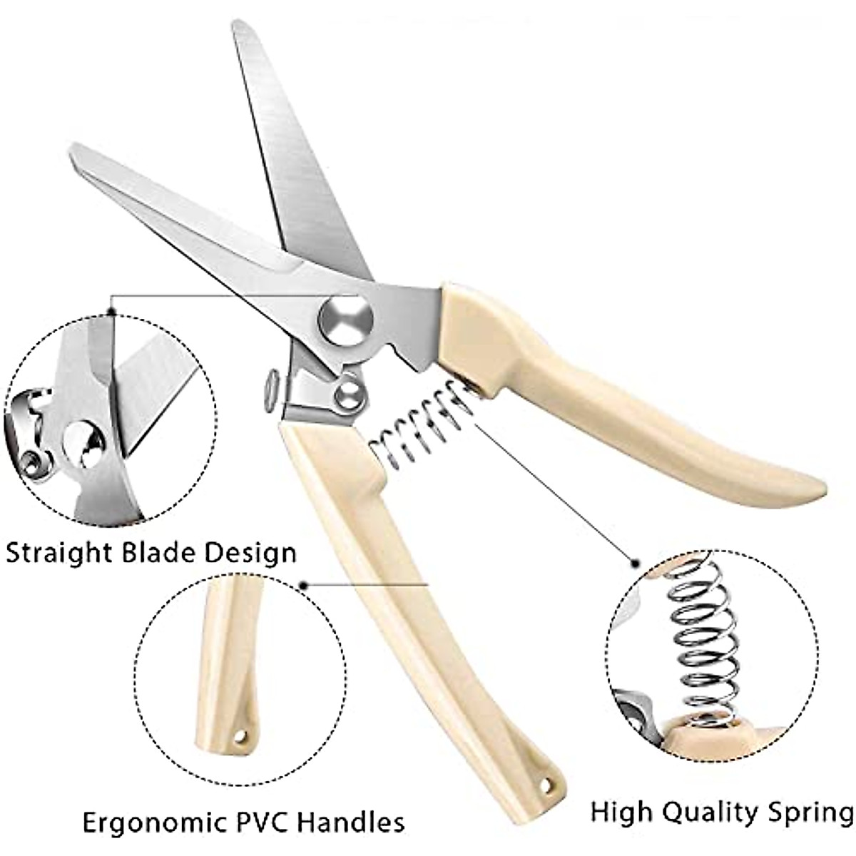 spdtech Straight Garden Scissors Sharp Garden Shears for Cutting Flowers Trimming Plants Bonsai Fruits Picking White
