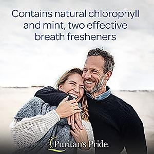 Puritans Pride Chewable Chlorophyll with Natural Spearmint Flavor, 100 Count