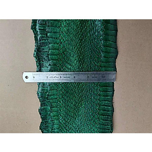 Snake Skin Snakeskin Pieces Assorted Colors Hide Leather Natural 47in (Green)