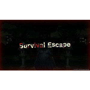 Spirit Hunter: NG - PlayStation 4 Standard Edition