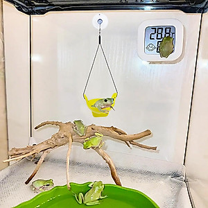 2 Pack Amphibian Aquatic Frogs Habitats with Suction Cup for Toad Frog Tadpole Tree Frog Small Aquatic Animals