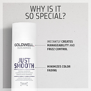Goldwell Dualsenses Just Smooth Taming Shampoo 300mL