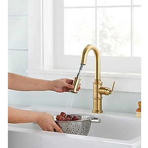 Gerber Plumbing Kinzie Kitchen Faucet with Pull Down Sprayer