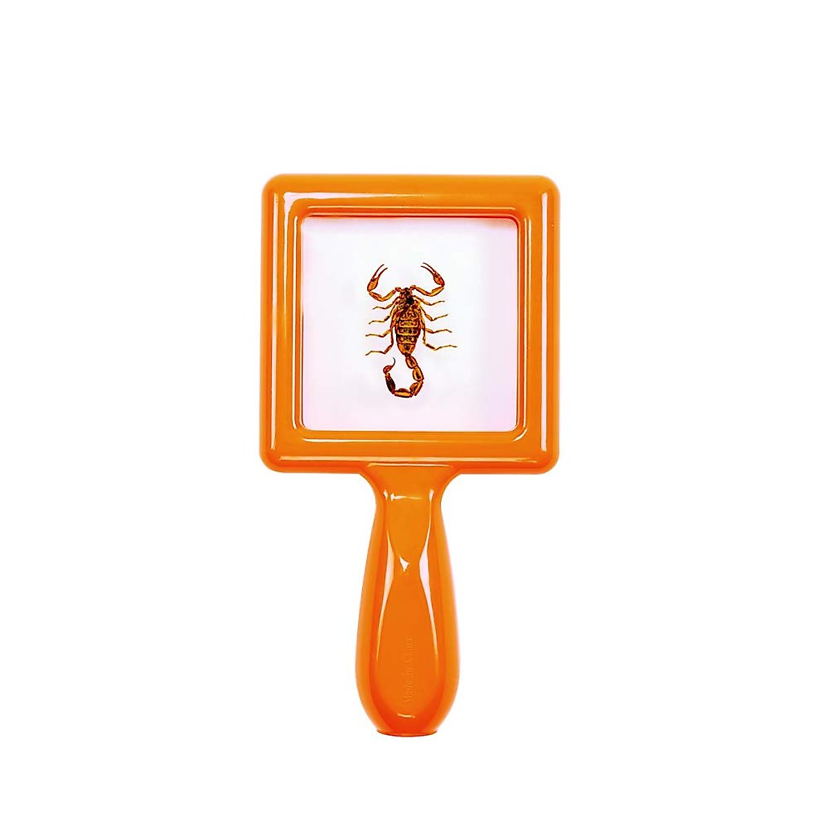 Environments Toddler Specimen Viewers Set of 4 (Item # SPECISEE)