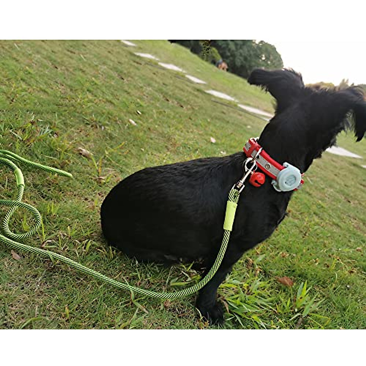 YUCFOREN 7FT Small Dog Leash Lightweight Cat Leash for Little Pets/Puppy/Small Animals/Extra Small Dogs Durable Nylon Walking Training Leash