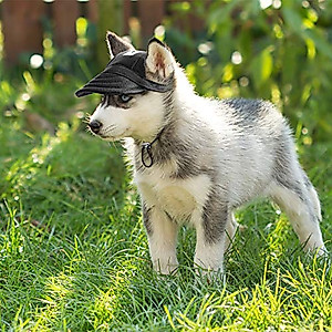 4 Pieces Dog Visor Hats Dog Baseball Hats Pet Sun Protection Hats Outdoor Sports Hats with Ear Holes Pet Baseball Hats with Adjustable Chin Strap for Extra Small Dogs