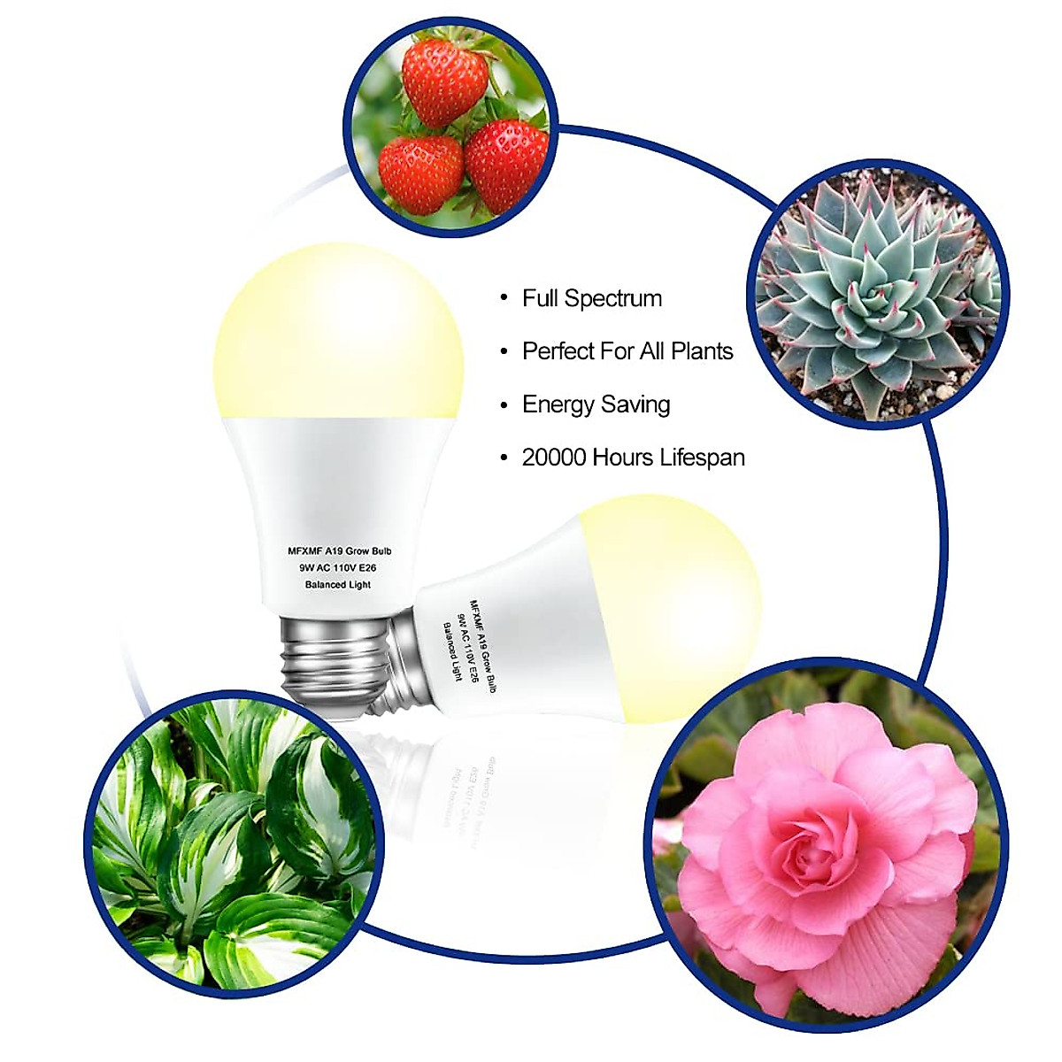 mfxmf 2 Pack LED Grow Light Bulbs A19 Bulb, Full Spectrum Plant Light Bulb, 9W E26 Grow Bulb Replace up to 80W, Grow Light for Indoor Plants, Flowers, Greenhouse, Indore Garden, Hydroponic