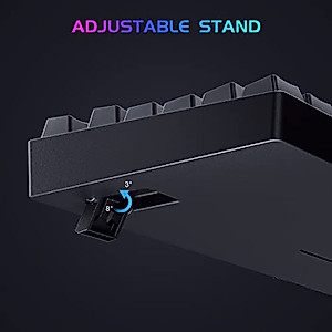 Punkston TK87 Mechanical Gaming Keyboard, RGB Rainbow LED Backlit TKL 87 Keys Anti-Ghosting PC Gaming Wired Keyboard for Windows/Mac (Blue Switch, Black)