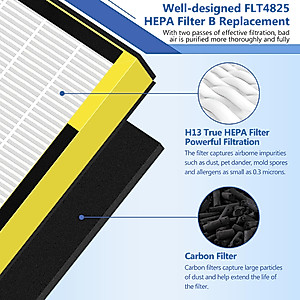 FLT4825 HEPA Filter B Replacement for Guar.dian Air Purifier AC4825 AC4300 AC4800 AC4900 AC4850, 4 HEPA Filter and 6 Pre-Filter