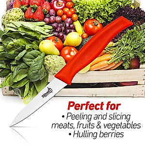 Slitzer Germany Paring Knife, German Stainless Steel Blade, 8 Inches, 3/12 Inch Blade, Red