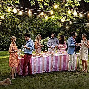 Brightech Ambience Pro LED String Lights - 26 Ft Commercial Grade Patio Lights Outdoor Waterproof - Globe Porch String Lights for Outside, Backyard - 1W Vintage Edison Bulbs, Shine Bright, White