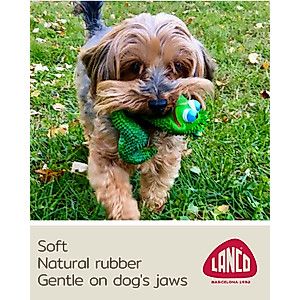 Smiley Snake Sensory Squeaky Rubber Dog Toy for Small & Medium Dogs (Green) Natural Rubber (Latex) Lead Chemical-Free Soft Unstuffed