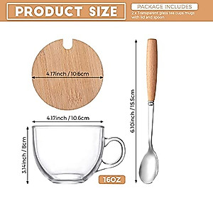 DONYU 2 Pieces Glass Cup 16OZ Clear Coffee Mug with Lids Spoon for Breakfast Tea,Milk,Beverage,Oats,yoghurt