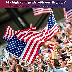 PHITRIC 6 FT Flag Pole for Kit, Tangle Free Spinning Weather Resistant Rustproof Stainless Steel Flagpole Suitable for 3x5 Heavy Garden Flag 1" Dia Flag Pole for House or Outdoor Wall-Mounted