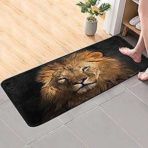 CaTaKu Animal Lion Area Rug 39x20 Inches Polyester , Scary Lion Area Rug Floor Rug Runner Washable Carpet Mat for Kitchen Dinning Room Home Decorative