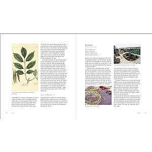 Iwigara: American Indian Ethnobotanical Traditions and Science