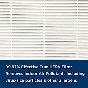 AprilAire RF09550A Allergy True HEPA Air Purifier Replacement Filter for AprilAire Room Air Purifier Model 9550, Captures Allergens & Odors, Ozone
