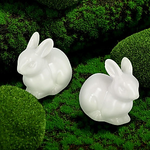 2pcs Ceramic Toilet Bolt Covers, Rabbit Shaped Toilet Bolt Covers Toilet Screw Cover Caps Toilet Knob Caps Decorative for Bathroom Toilet Parts Decoration