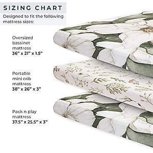 Pobibaby - 2 Pack Premium Pack N Play Sheets Fitted for Standard Pack and Plays and Mini Cribs - Ultra-Soft Cotton Blend, Stylish Floral Pattern, Safe and Snug for Baby (Zephyr)