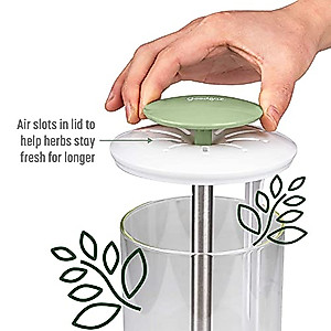 Goodful Herb Keeper Preserver, Designed for Optimum Breathable Airflow for Maximum Freshness, Water Line Ensures the Use of the Right Amount of Water, Stores in your Refrigerator