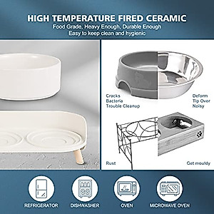 Cat Bowl for Food and Water - Elevated Dog Bowls with Stand - Raised Dog Cat Bowl Set - Double pet Bowl Dish for Small Dog | Cat | Puppy | Rabbit and with Splash Proof Guard for Less Mess