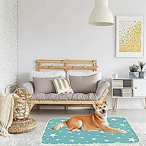 CNTOPKITER 4 Pack Guinea Pig Fleece Cage Liners, Super Absorbent, Reusable, Washable Guinea Pig Pee Pads Bedding for Hamsters Rabbits Chinchilla Gerbil Hedgehog Rat and Other Small Animal