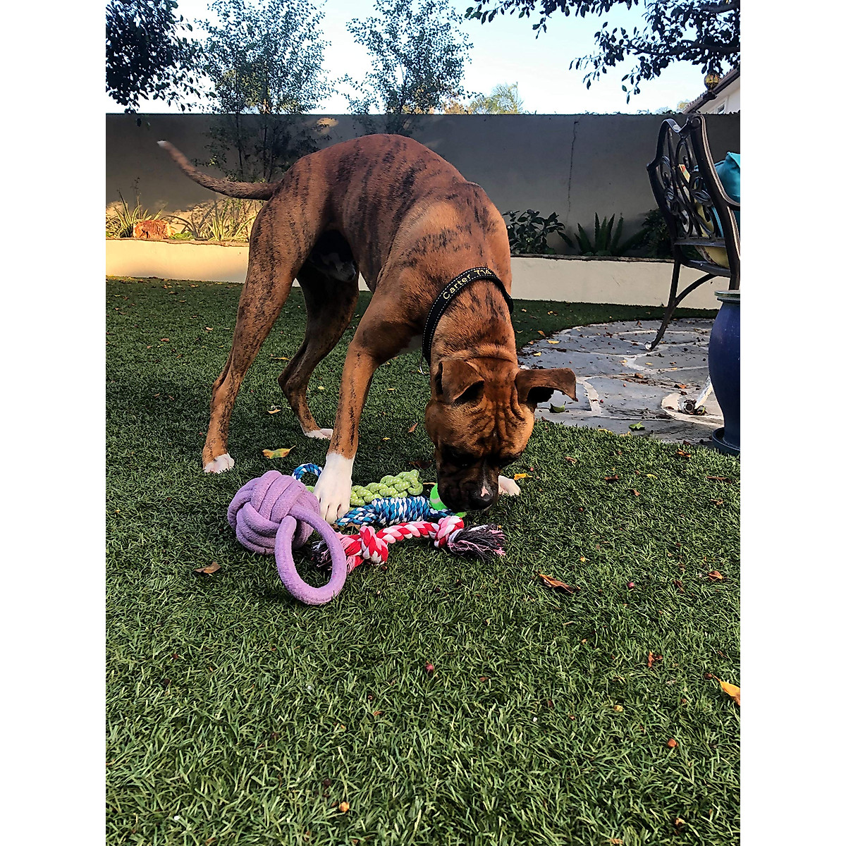 RITE-HITE Rope Dog Toys - for Small, Medium, and Large Size Dogs, Includes Ball, Made for Aggressive chewers and Great for Teething (Large)