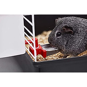 No-Drip 32 Oz Small Animal Drinking Bottle with Metal Cup for Small Pet/Bunny/Ferret/Hamster/Guinea Pig/Rabbit/Chinchilla/Mouse/Rat. BPA-Free.