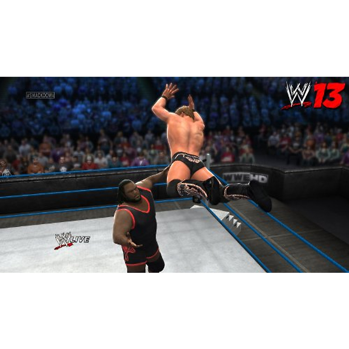 WWE '13