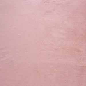 Lila & Jack Reversible Mink Fleece Baby Blanket, Newborn - Toddler Blanket 30 X 40 Inches (Pink Floral)