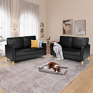 AILEEKISS 57'' Mid-Century Loveseat Faux Leather Sofa Couch with Armrest for Two People Modern 2 Seat Sofa for Living Room (2-Seater, Black)