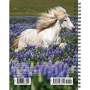 Willow Creek Press What Horses Teach Us Softcover Weekly Planner 2024 Spiral-Bound Engagement Calendar (6.5" x 8.5")