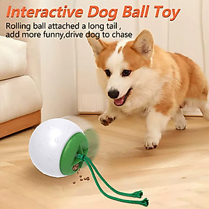 Salodal Interactive Dog Treat Dispenser Ball, 6.25'', 1.7L, Adjustable Food Leak Opening, for IQ Training & Slow Feeding, Large Dog Toy